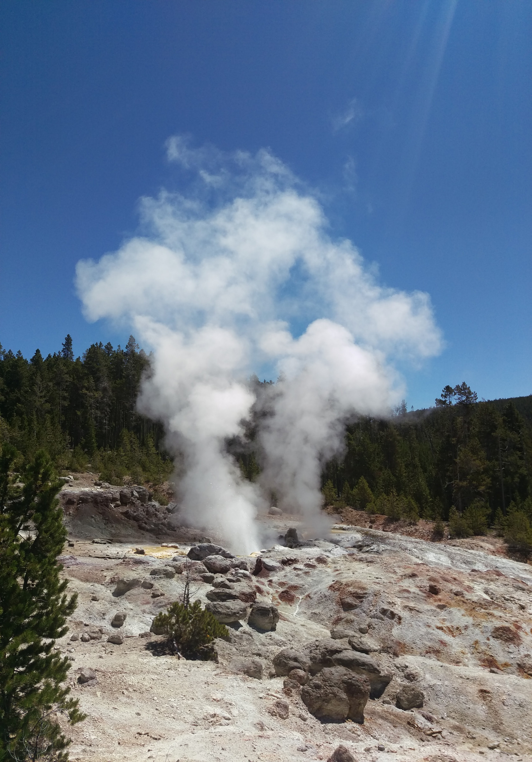 IMAG0234-Hannah-Brown | The Rusty Parrot