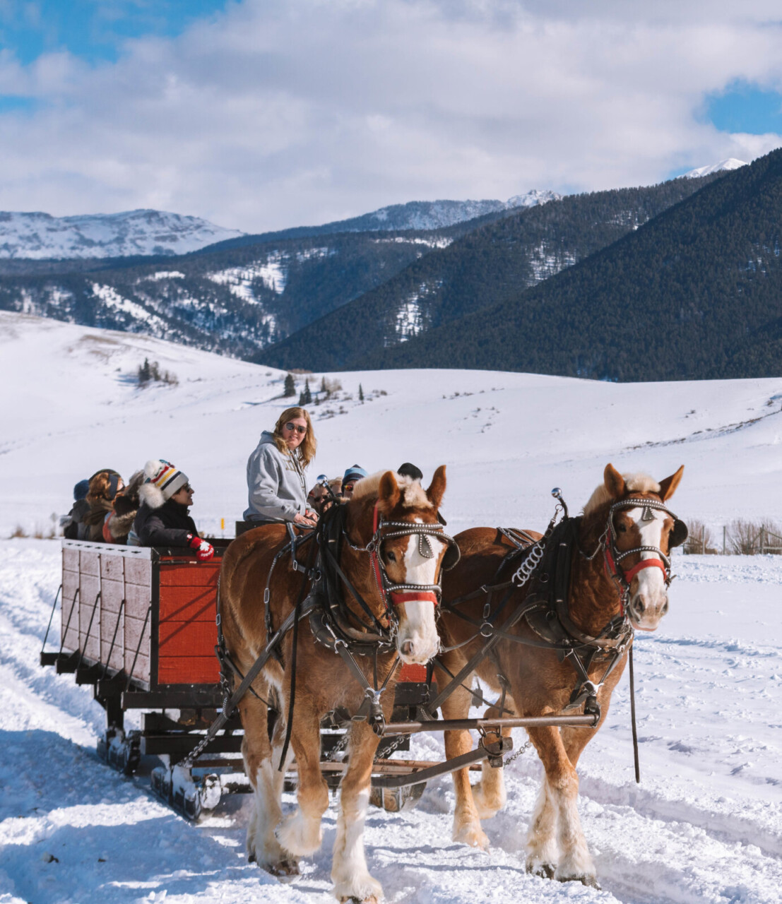 Holidays at the Rusty Parrot